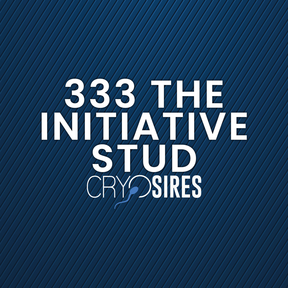 333 The Initiative Stud – Cryosires
