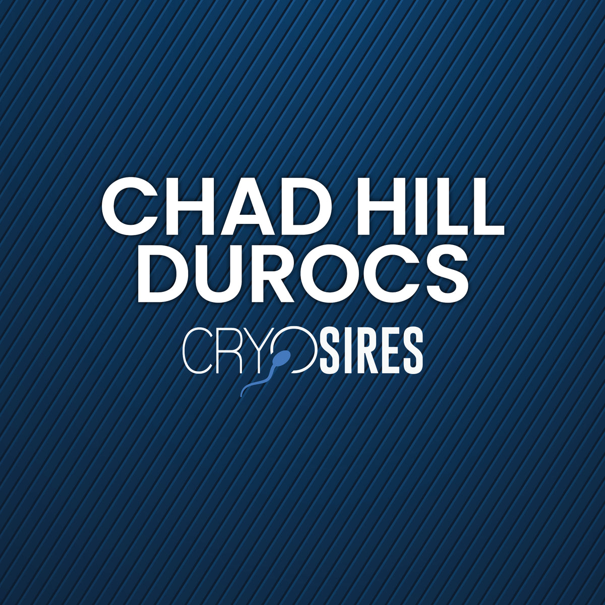 Chad Hill Durocs – Cryosires