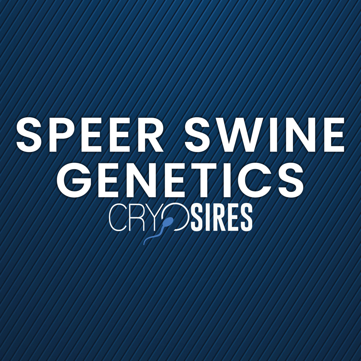 Speer – Cryosires