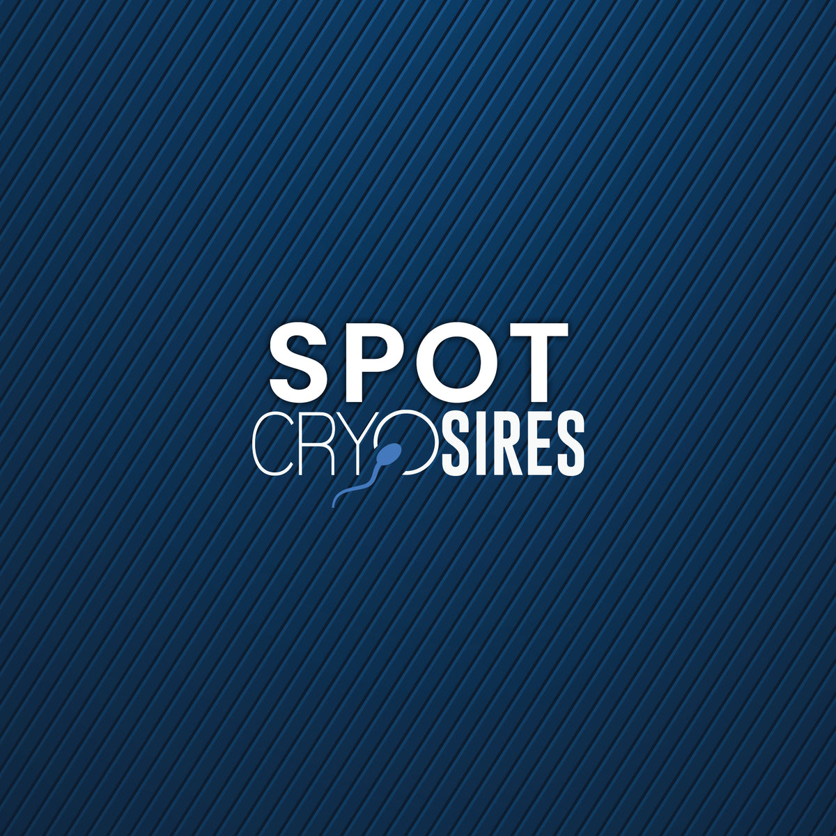 Spot – Cryosires