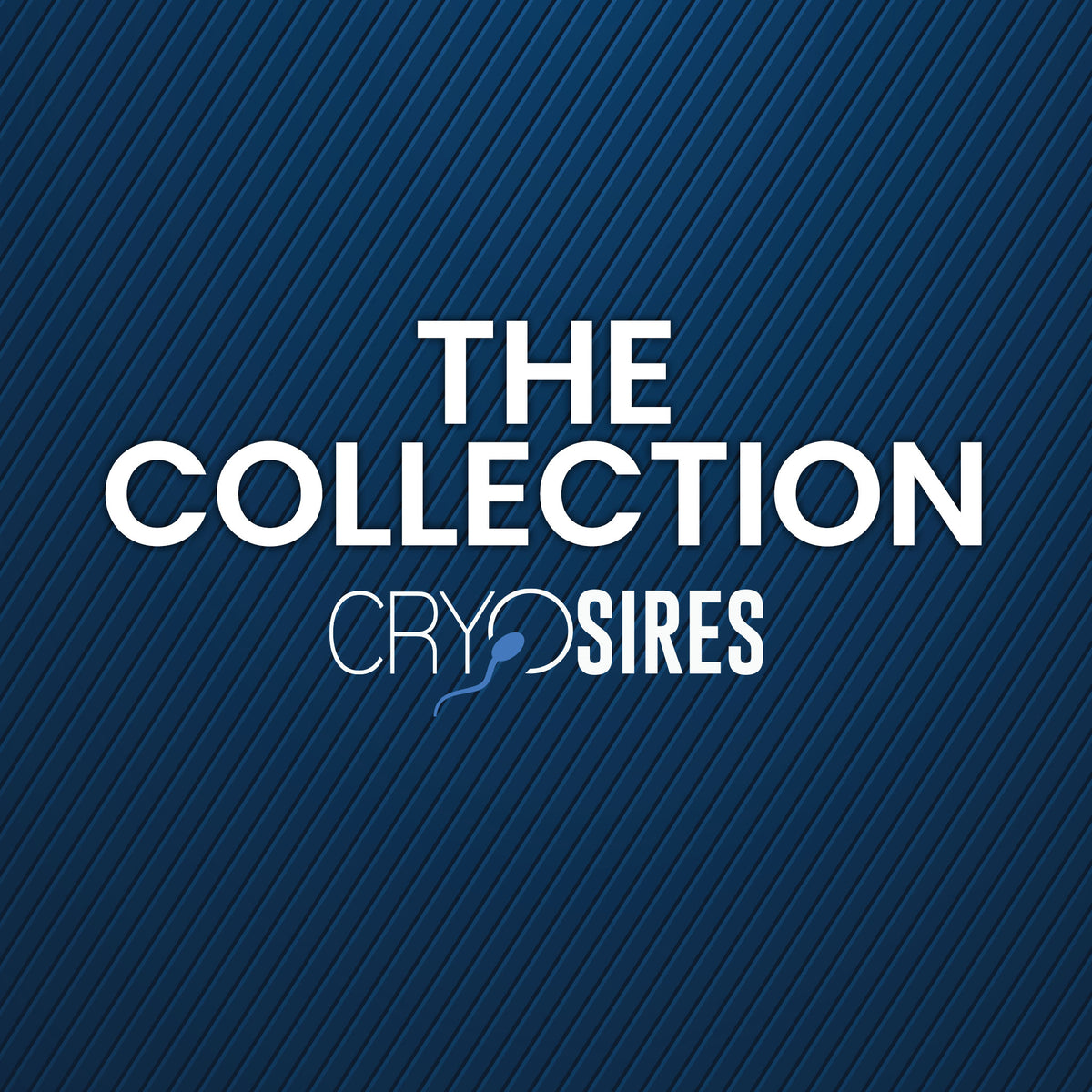 The Collection – Cryosires