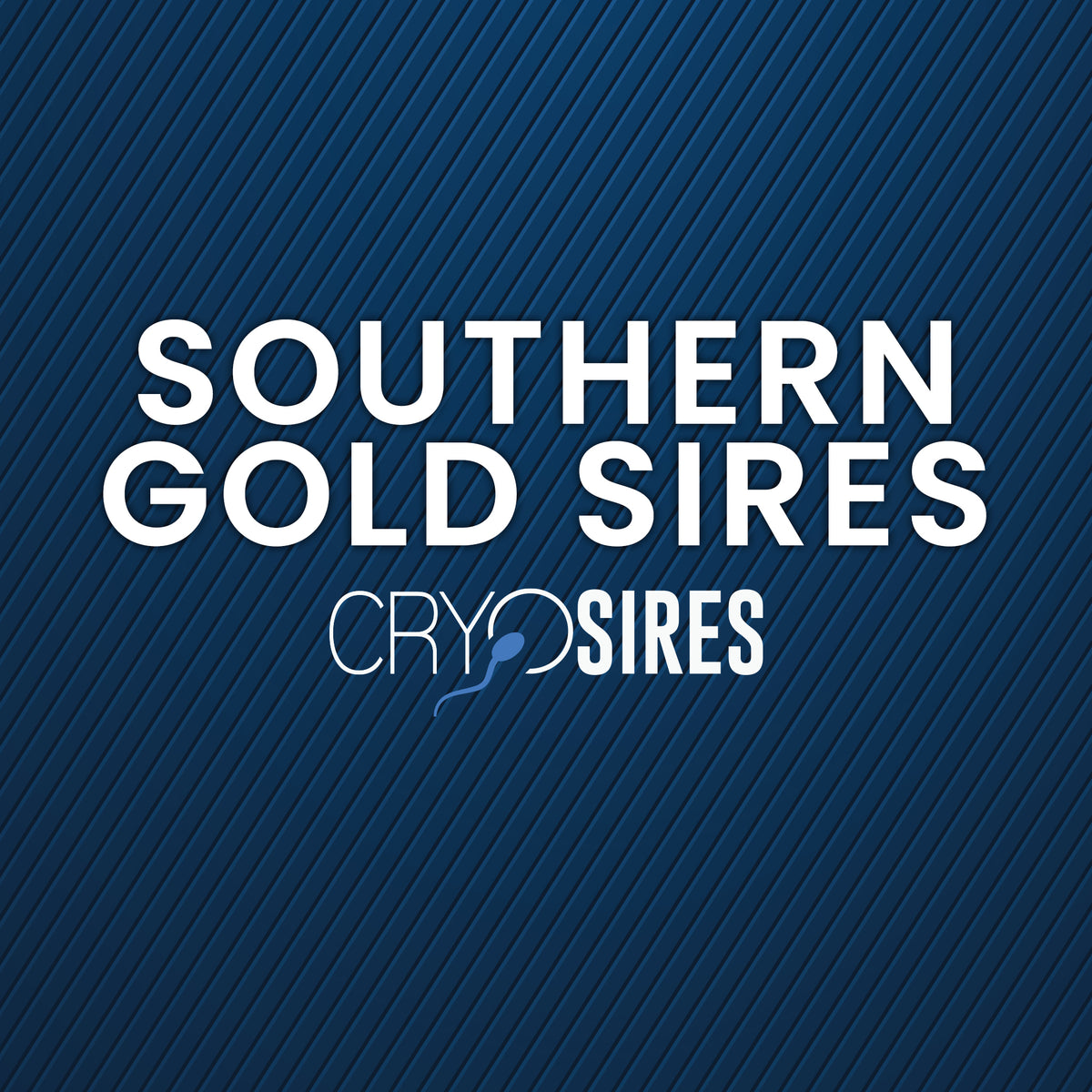 Southern Gold Sires – Cryosires