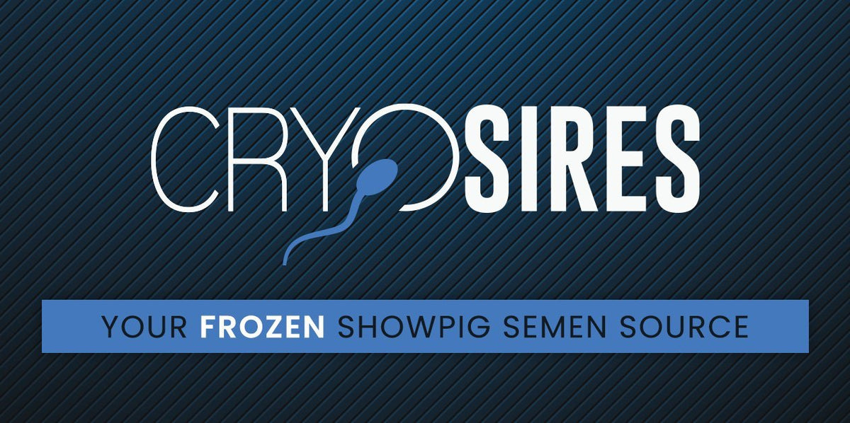 Shop by Boar Stud – Cryosires